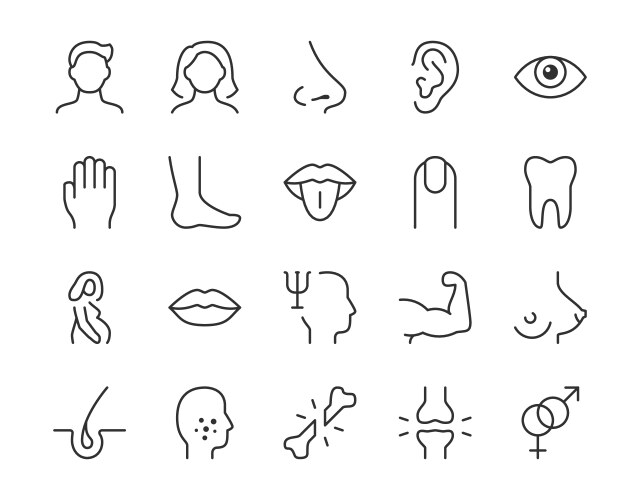 Human Body Parts Outline Vector Images (over 5,800)