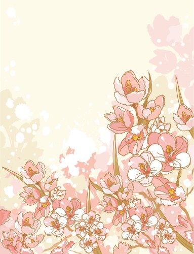 Cherry blossom flowers Royalty Free Vector Image