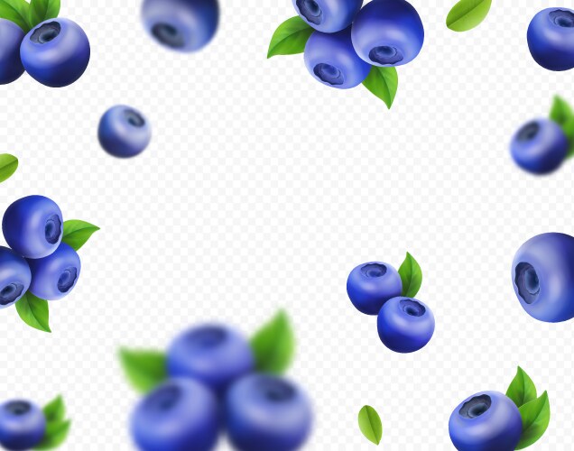 Realistic blueberry background Royalty Free Vector Image