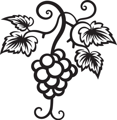 Garden elegance black grapevine symbol vineyard Vector Image