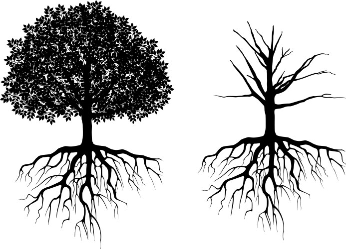 Tree Roots Black and White Vector Images (over 2,900)