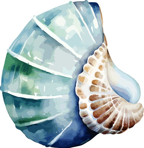 Sea Shell Clipart Vector Images (over 2,300)
