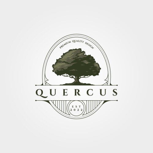 Abstract tree minimal logo emblem design oak Vector Image