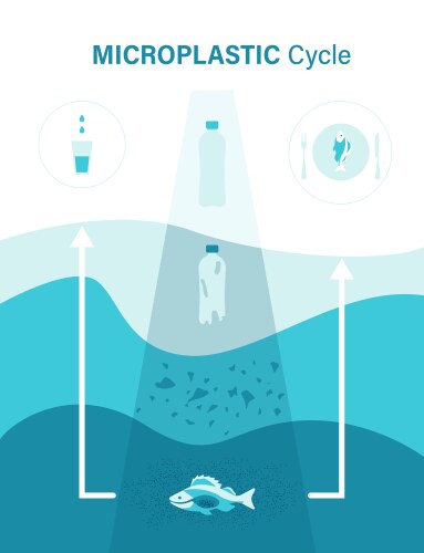 Water Cycle Vector Images (over 10,000)
