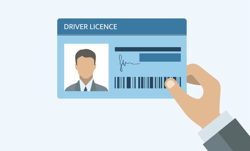 Driver License Template Vector Images (over 1,000)