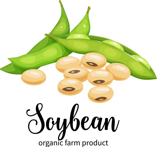 Cartoon Soybean SPOILERS FOR SOYBEAN'S NEW ANIMATION EPISODE) Soy… I