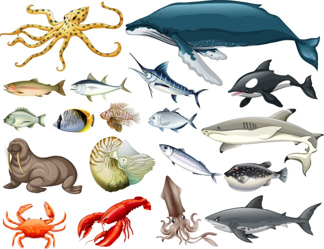 Different types of sea animals Royalty Free Vector Image