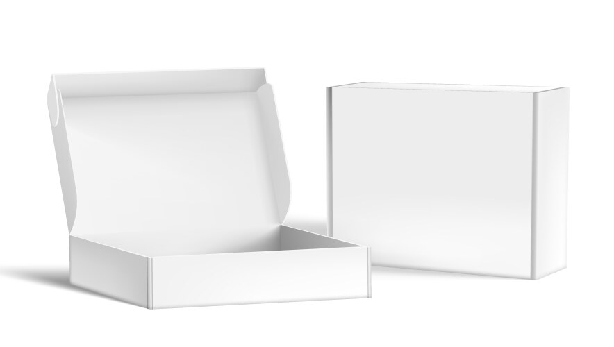 Open and Closed Packaging Boxes Royalty Free Vector Image