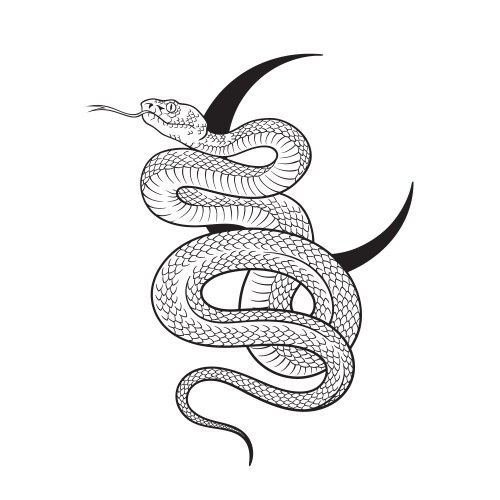 Serpent Vector Images (over 18,000)