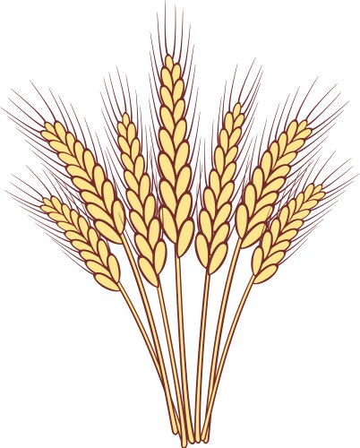 Wheat Vector Images (over 130,000)