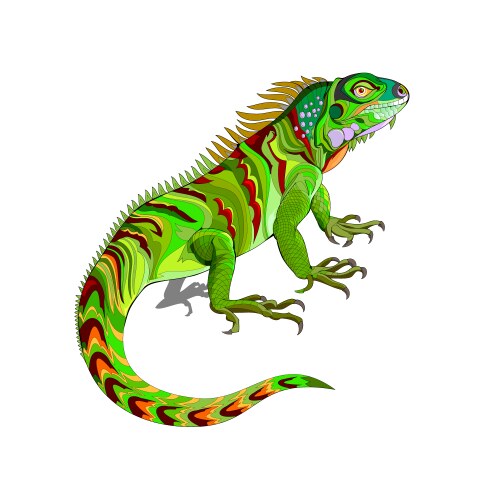 Iguana Clip Art Vector Images (over 340)