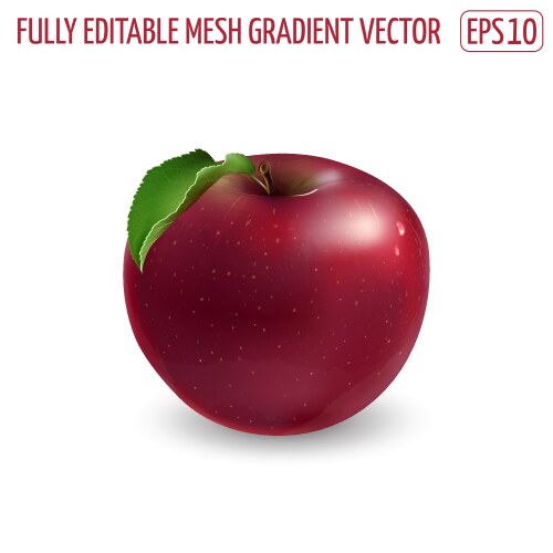 Red apple with green leaf isolated on white Vector Image