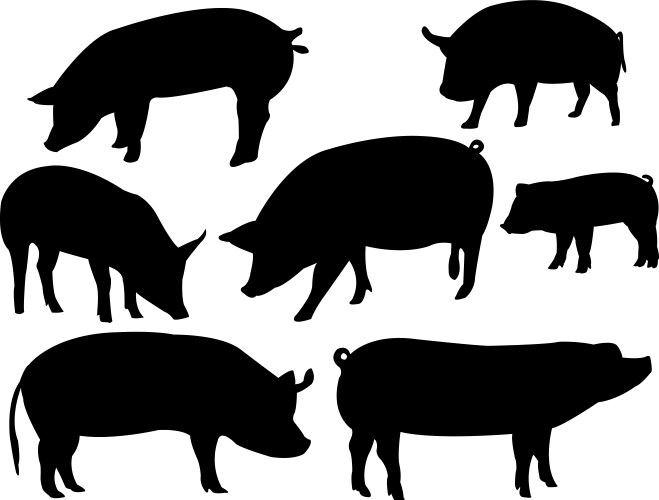 Pig Vector Images (over 91,000)