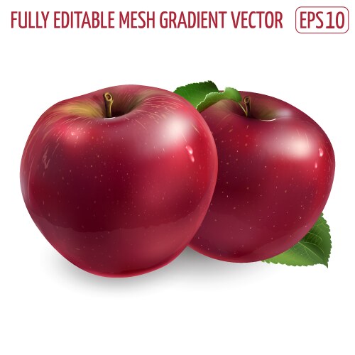 Red apple Royalty Free Vector Image - VectorStock