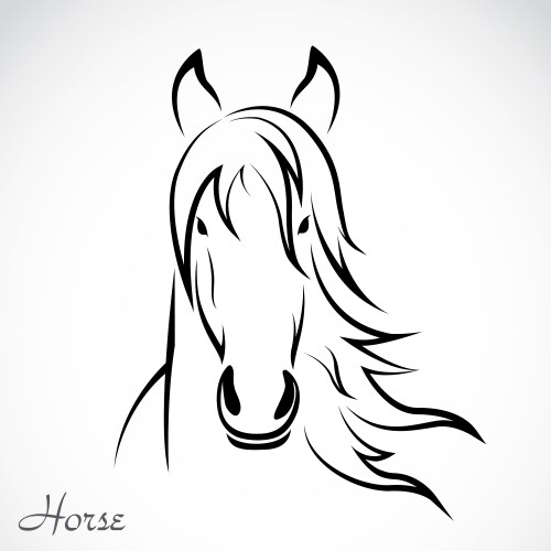 Horse Outline Vector Images (over 41,000)