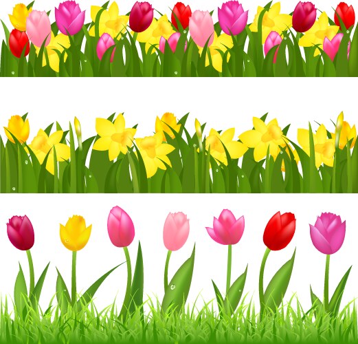 Yellow Flower Border Vector Images (over 15,000)