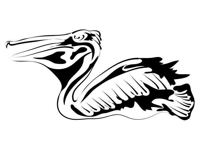 Pelican Vector Images (over 4,900)
