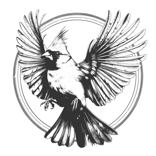 Cardinal Vector Images (over 5,000)