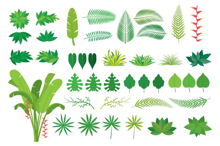 Jungle Leaves Vector Images (over 61,000)