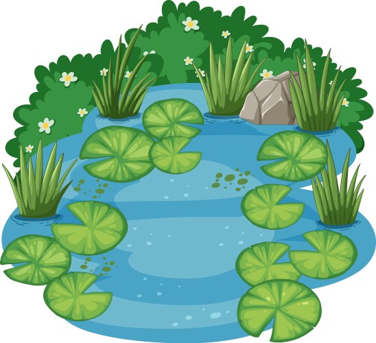Colorful of a peaceful water lily pond Royalty Free Vector