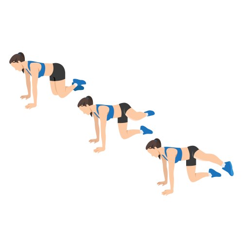 Donkey Kick Vector Images (over 210)