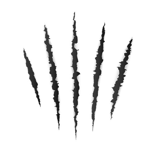 Black claw scratches Royalty Free Vector Image