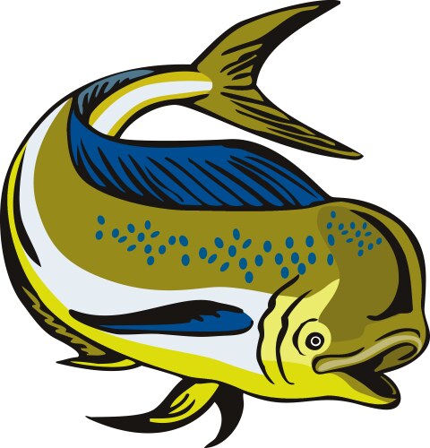 Mahi Vector Images (over 210)