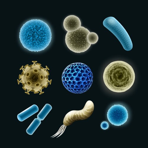 Bacteria Vector Images (over 160,000)