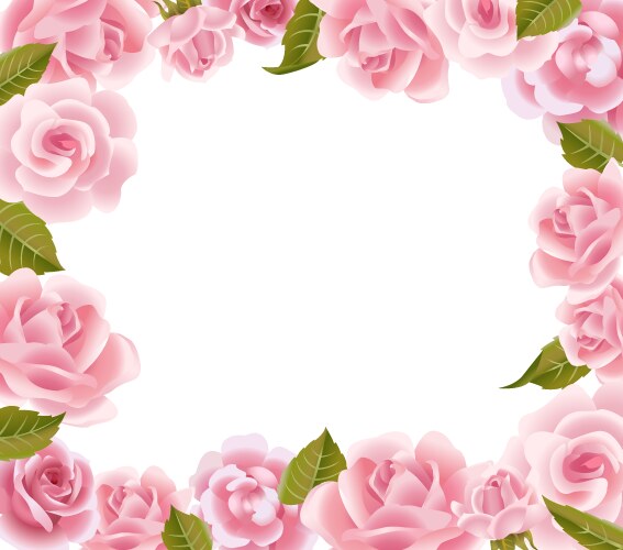 Pink rose flower frame border Royalty Free Vector Image