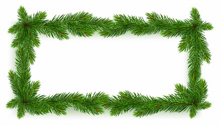 Realistic rectangular pine tree frame Royalty Free Vector