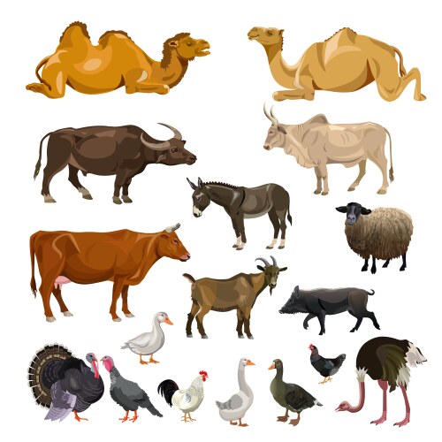 Carabao Vector Images (over 140)