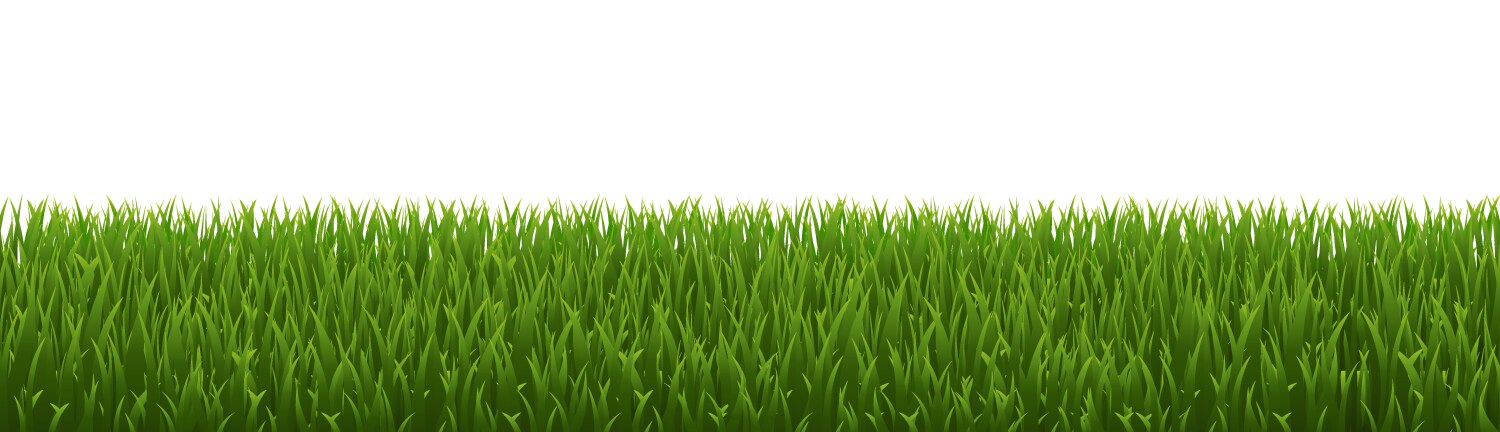 Green Border Vector Images (over 130,000)
