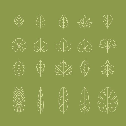Free Leaf Outline Vector Images (over 5,000)