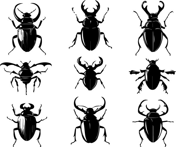 Bugs Vector Images (over 140,000)