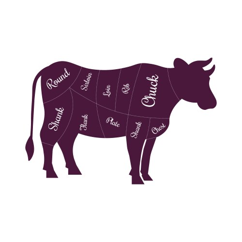 Cuts of beef poster butcher diagram cow Royalty Free Vector