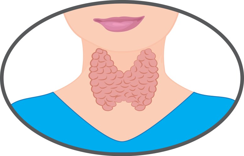 Goiter Vector Images (over 530)