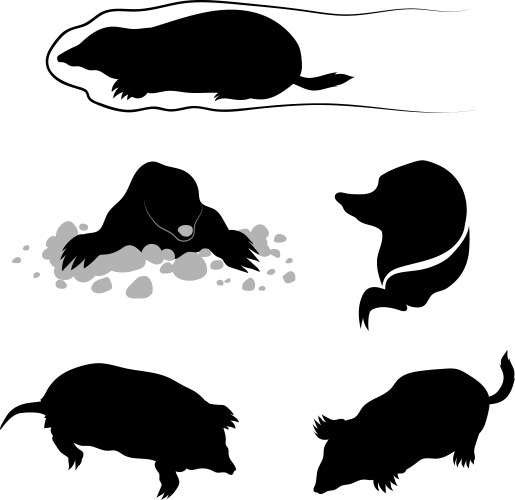 Cartoon Mole Vector Images (over 1,300)