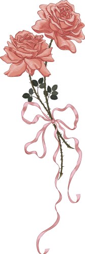 Roses stylized flower bouquet hand drawing Vector Image