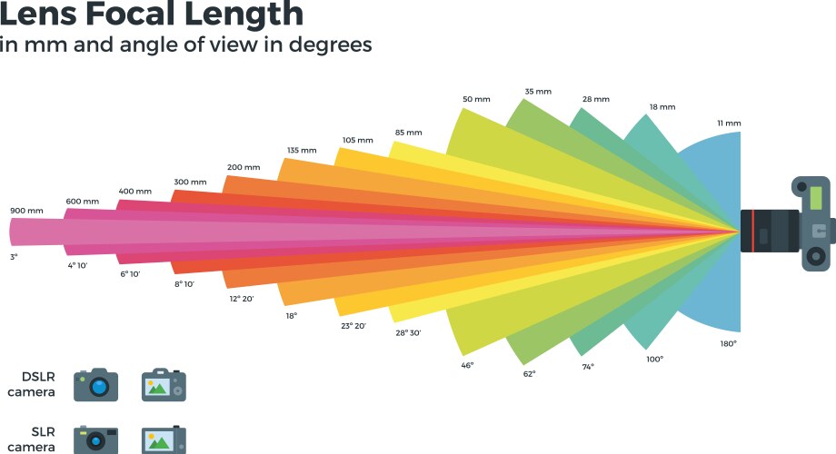 Focal length chart Royalty Free Vector Image - VectorStock