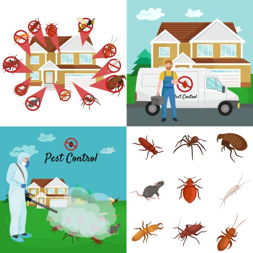 Pest control infographics Royalty Free Vector Image