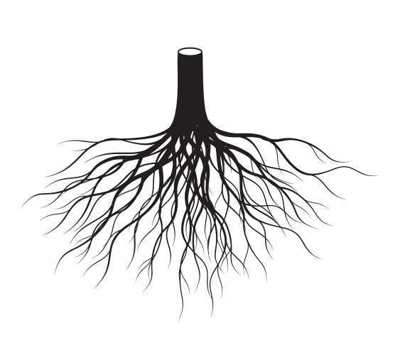 Tree Roots Black and White Vector Images (over 8,400)