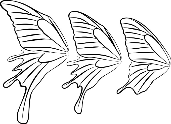 Butterfly Wings Vector Images (over 56,000)