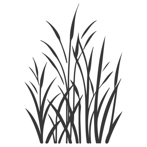 Grass Tuft Drawing Vector Images (over 260)