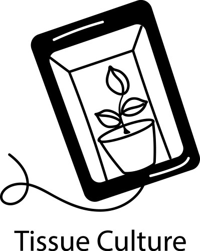 Plant Tissue Vector Images (over 1,200)