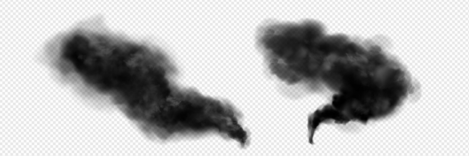 Ash Vector Images (over 22,000)