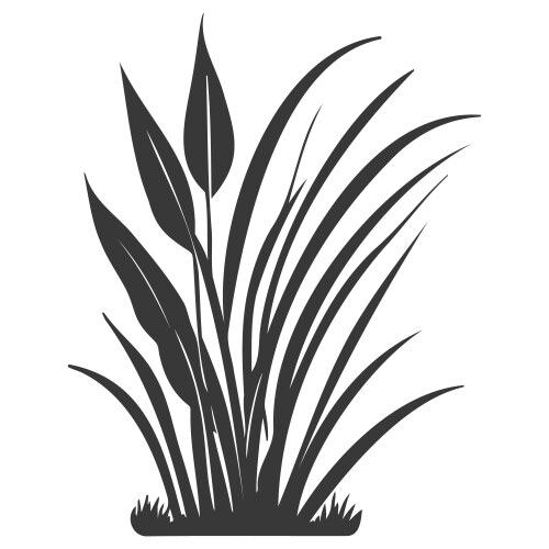 Grass Tuft Drawing Vector Images (over 260)