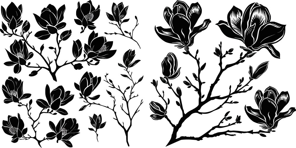 Magnolia Vector Images (over 7,400)