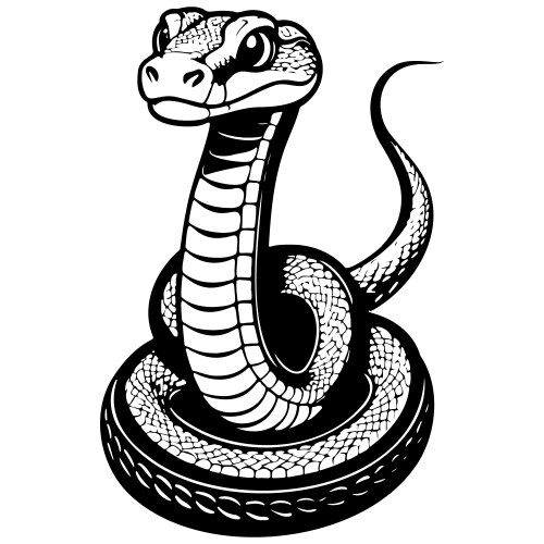 Snake Line Art Vector Images (over 6,600)