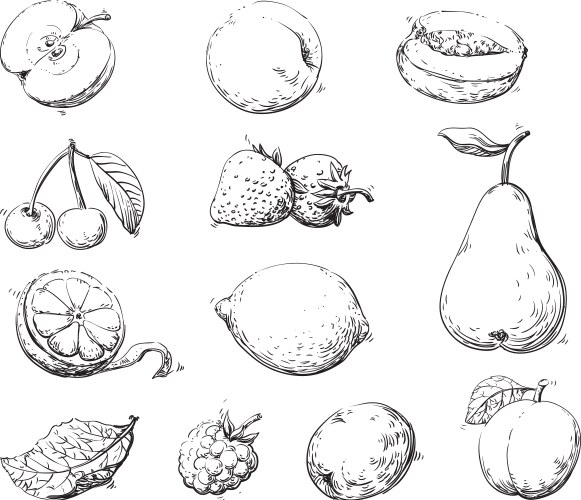 Fruits Drawing Vector Images (over 150,000)