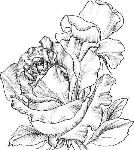 Biomorphic highly detailed seamless pattern Vector Image